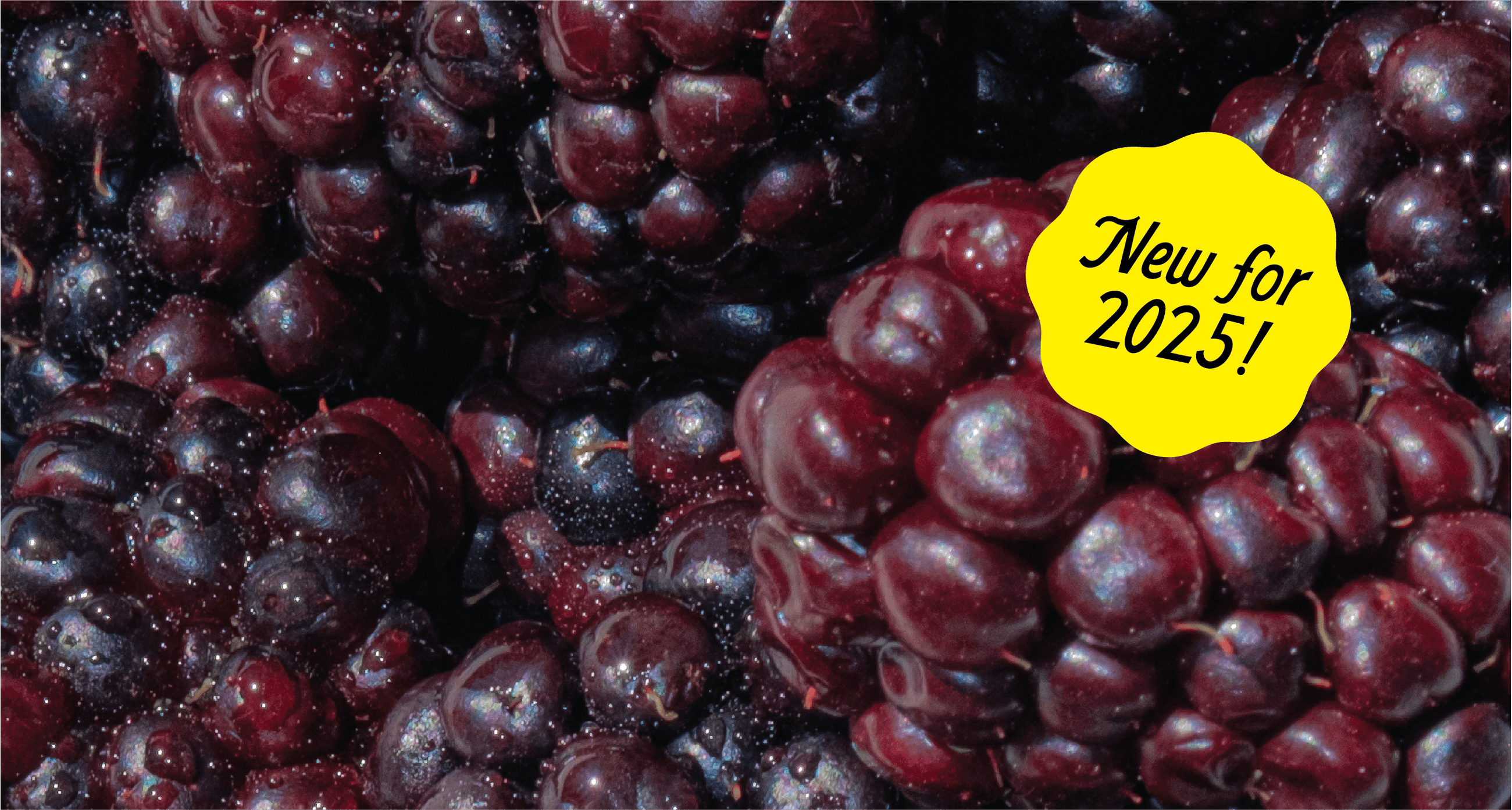 Oregon Fruit