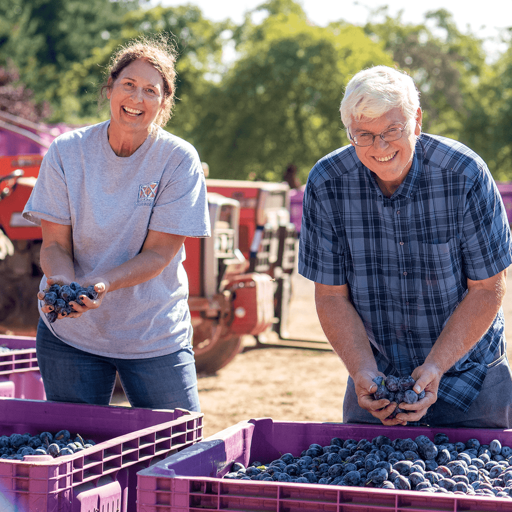 About Oregon Fruit | Premium Canned Fruit & Purees Since 1935